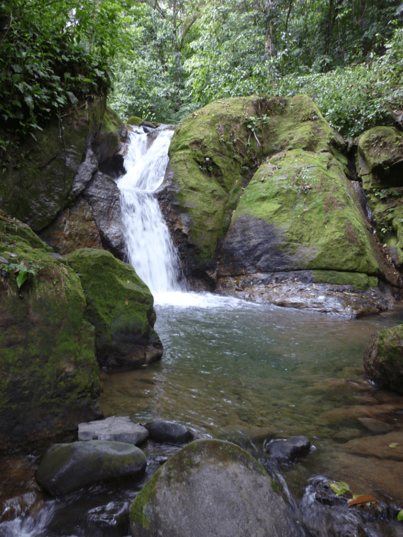 Tropical Paradise In Ojochal: Passion For Preservation - Ballena Tales ...